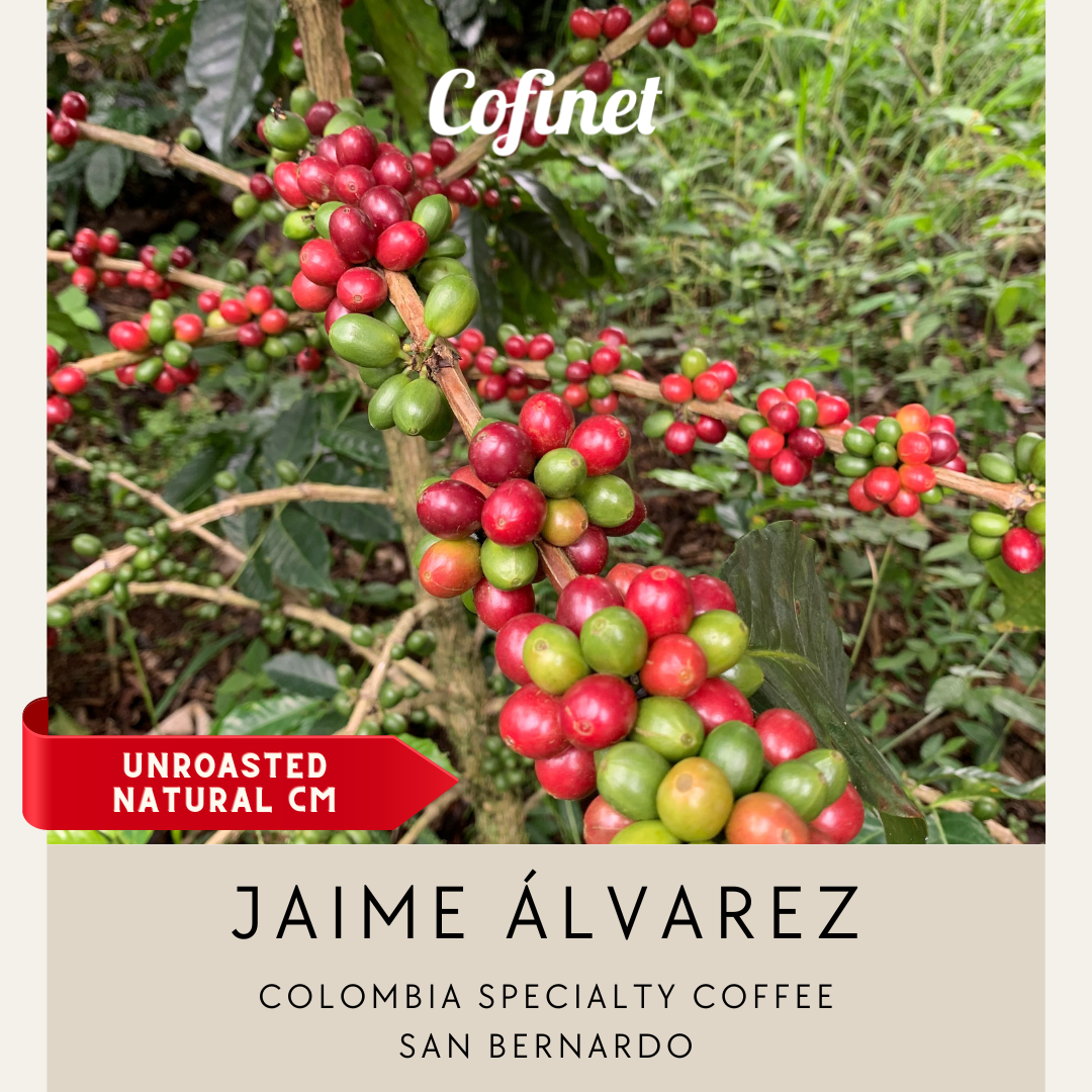 Colombia - Jamie Alvarez, San Bernardo Natural CM – Parchmen & Co